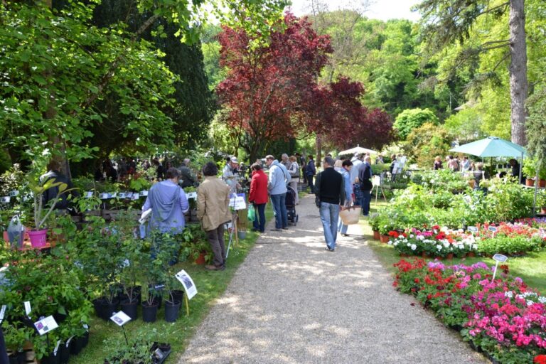 Fete Des Plantes Saint Benoit 86 2023